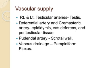 Acute painful scrotum | PPTX