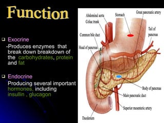 Acute Pancreatitis | PPT