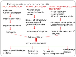 Acute Pancreatitis | PPT