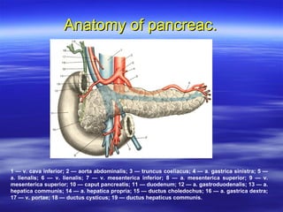 Acute pancreatitis. | PPT