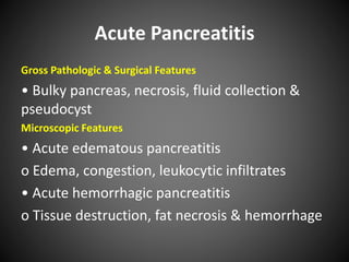 Acute Pancreatitis Gross
