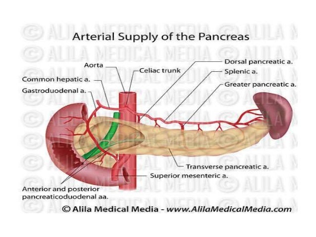 Acute pancreatitis