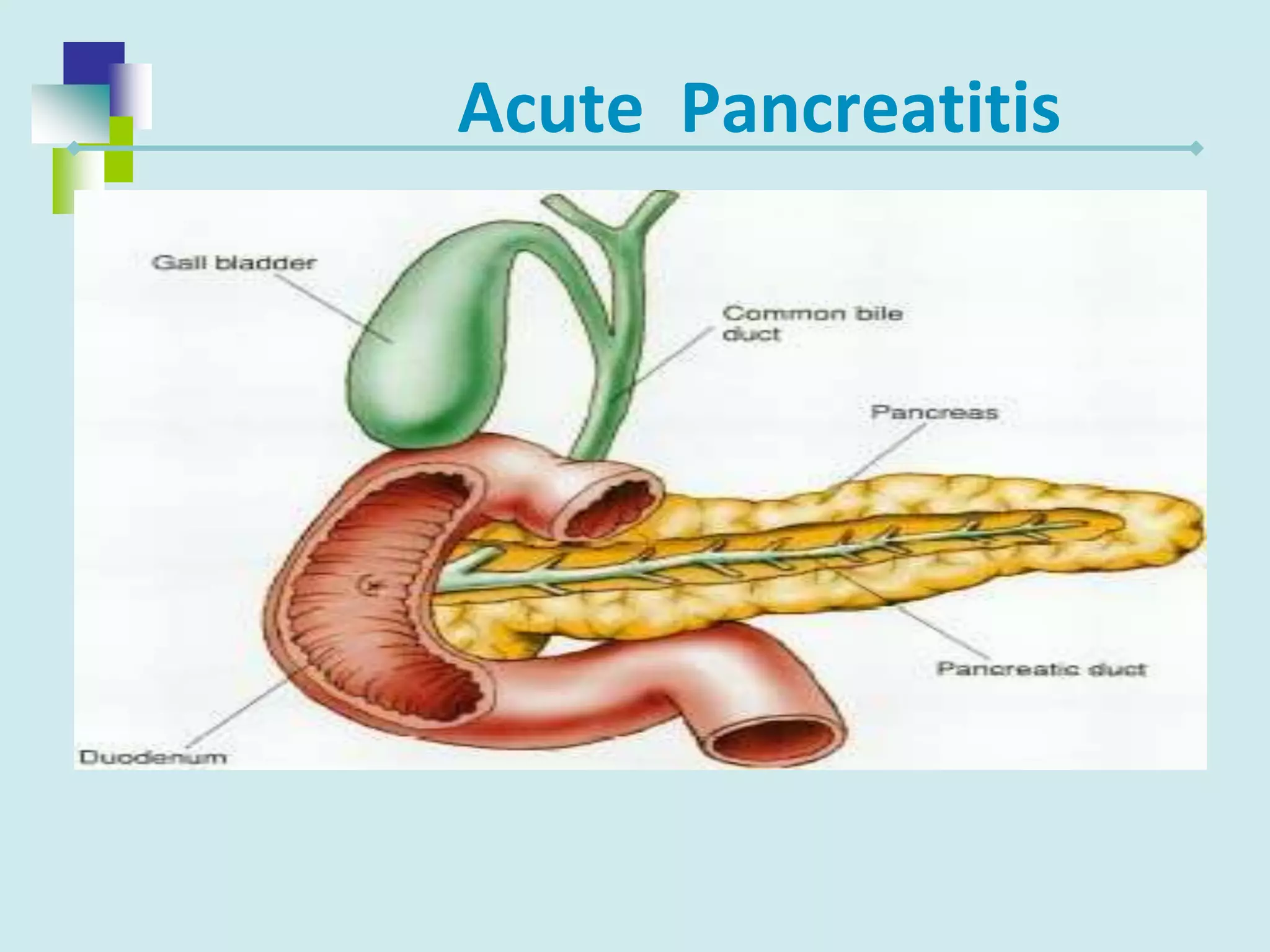 acute pancreatitis.ppt