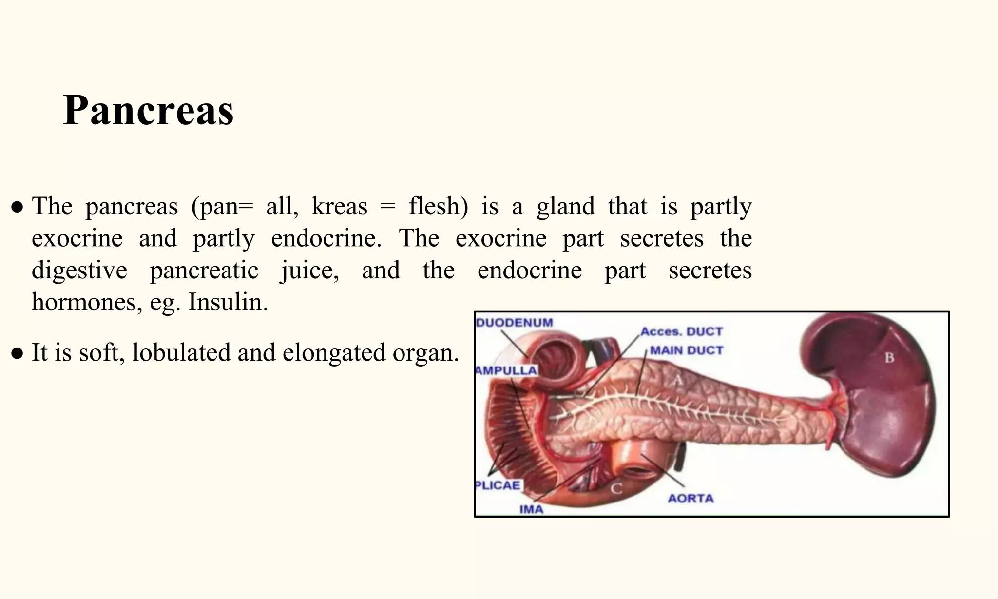 Acute pancreatitis.pptx
