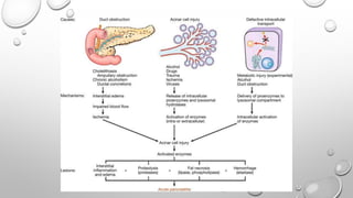 ACUTE PANCREATITIS and surgical management | PPTX