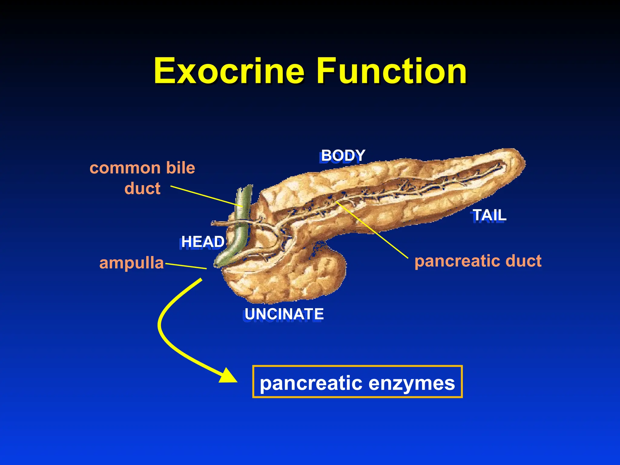 ACUTE PANCREATITIS.ppt in clinical surgery | PPT