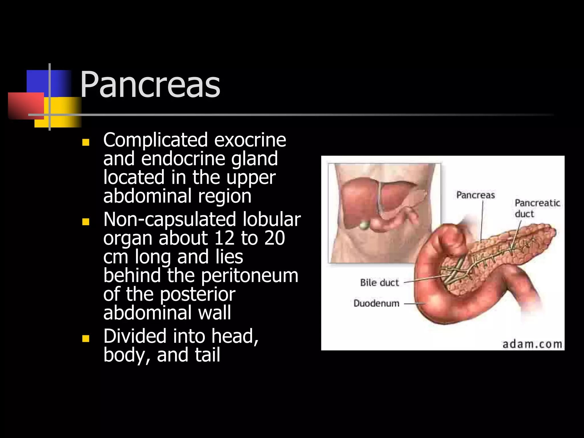 acute pancreatitis | PPT
