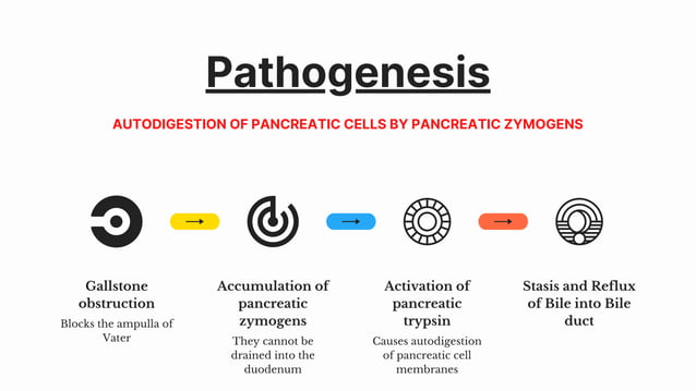 Acute pancreatitis : Definition, Diagnosis and Management | PDF ...