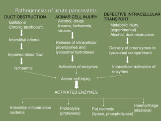 Acute pancreatitis by sameen | PPT