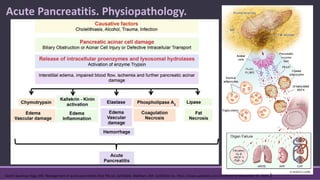 acute pancreatitis Dr Maha Hafez 2020.pdf