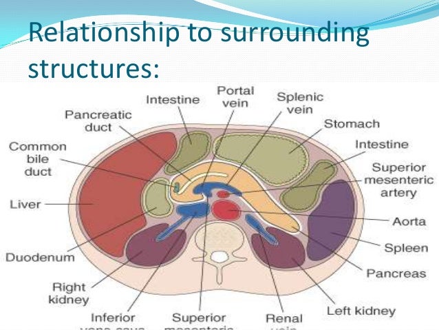 Acute pancreatitis radiological approach