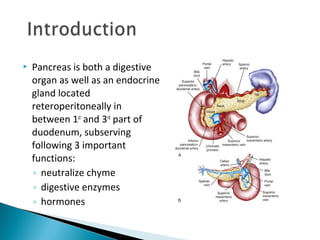 Pancreas Location Quadrant