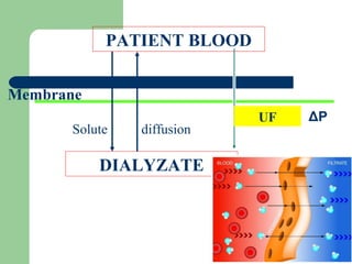 Acute peeitoneal dialysis catheter dr. amr salem | PPT
