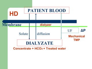 Acute peeitoneal dialysis catheter dr. amr salem | PPT