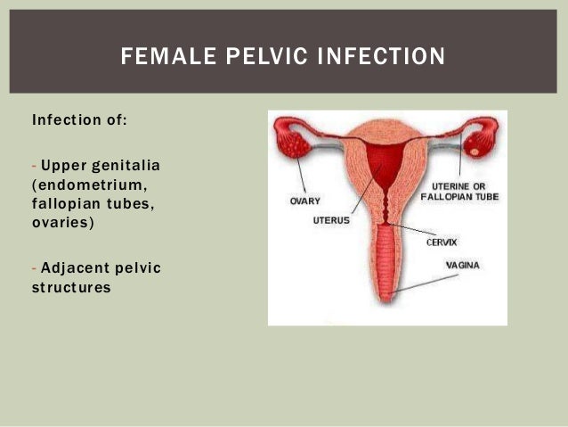 Acute female pelvic infection . ESUR Congress.