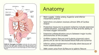 Acute Peritonitis and Acute Mesenteric Ischemia: Pathophysiology ...
