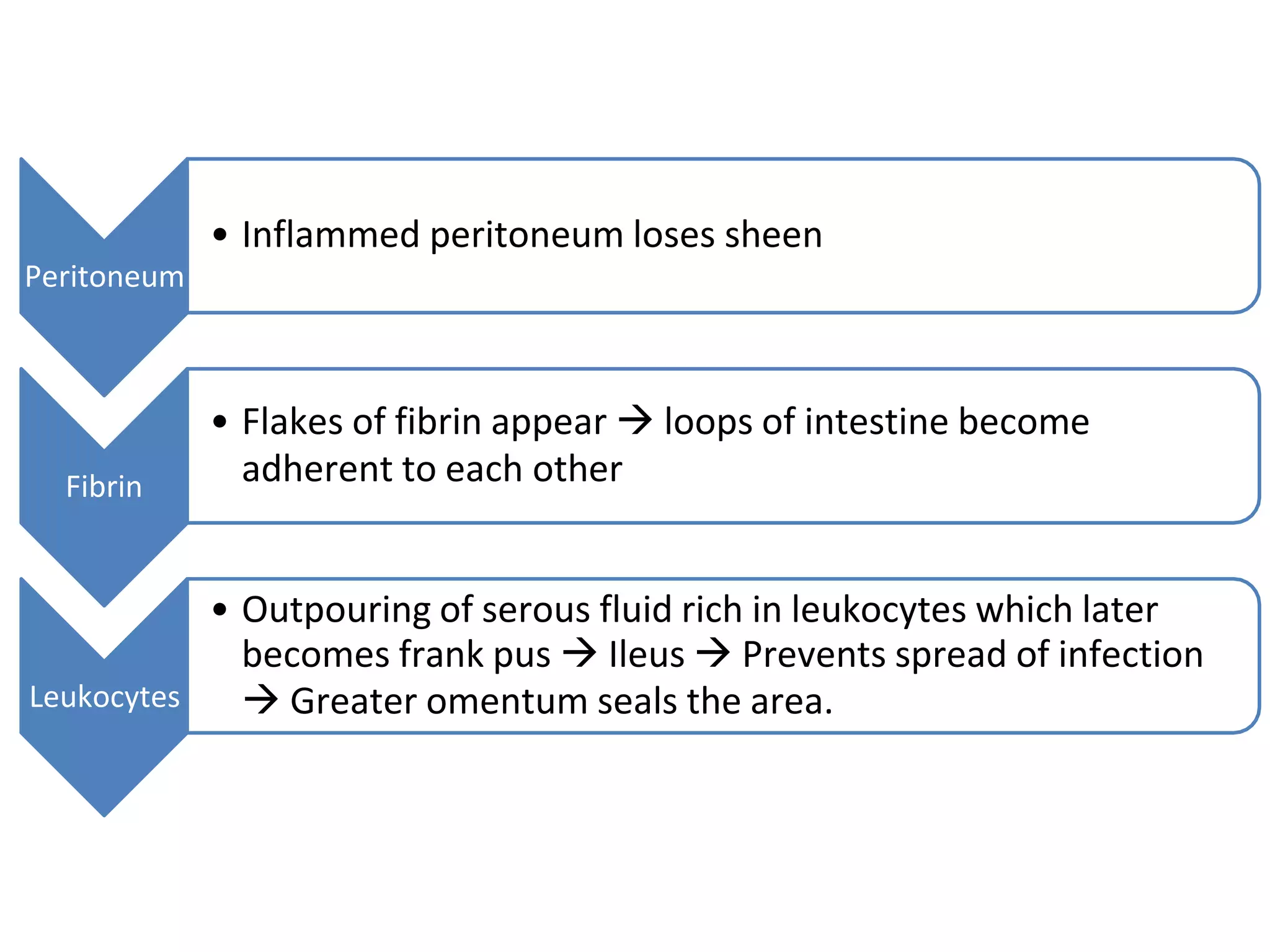 acuteperitonitis SS4 word.docx