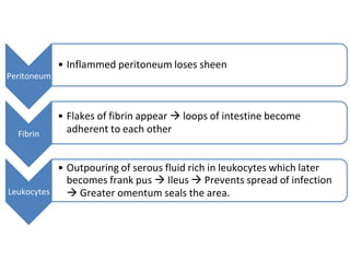 acuteperitonitis SS4 word.docx