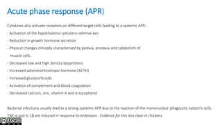 Acute phase proteins an open educational resource | PDF