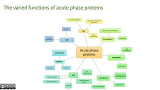 Acute phase proteins an open educational resource | PDF
