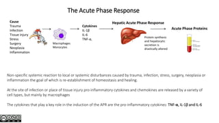 Acute phase proteins an open educational resource | PDF