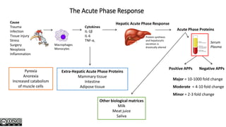 Acute phase proteins an open educational resource | PDF