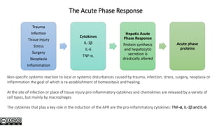 Acute Phase Proteins OER Introduction slides Dec 2018 | PDF