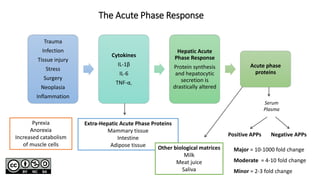 Acute Phase Proteins OER Introduction slides Dec 2018 | PDF