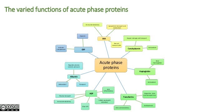 Acute Phase Proteins OER Introduction slides Dec 2018