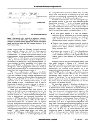 Acute phase proteins in dogs | PDF