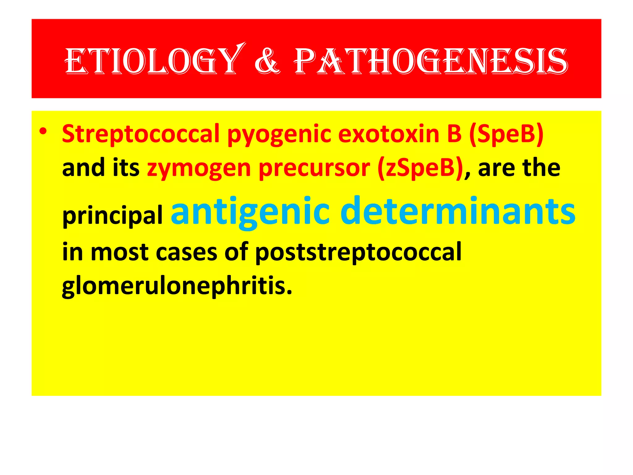 Acute post streptococcal glomerulonephritis | PPT