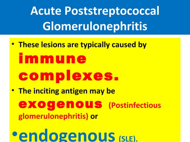 Acute post streptococcal glomerulonephritis | PPT | Infectious Diseases ...