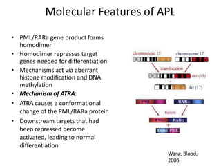 acutepromyelocyticleukemia | PPT