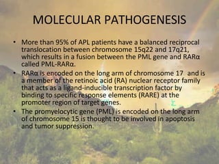 acutepromyelocyticleukemia- | PPT