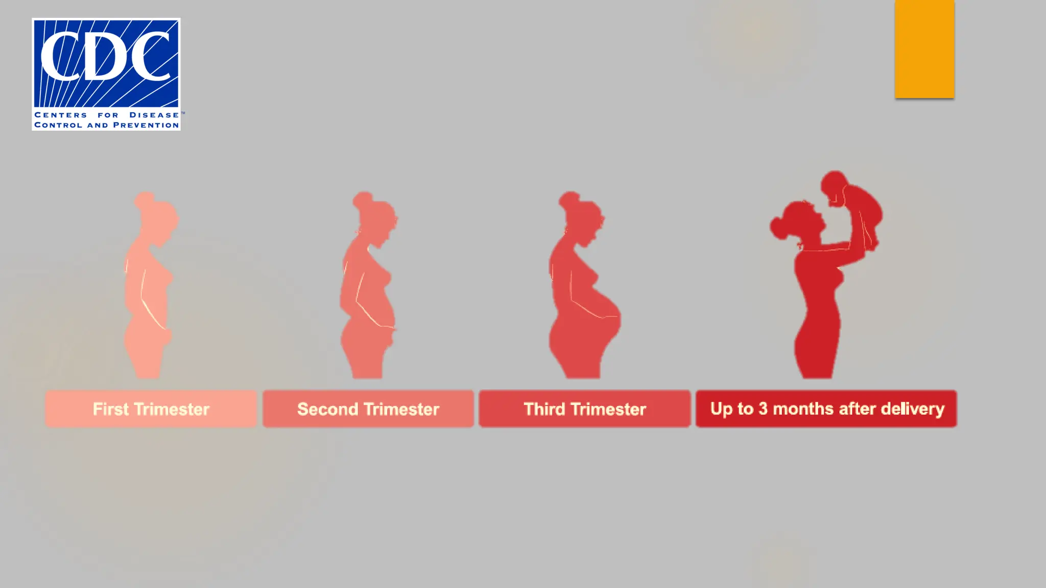 ABDULRAHMAN AL RAFIQ UPDATED MANAGEMENT OF ACUTE PULMONARY EMBOLISM .pdf