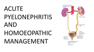 Acute pyelonephritis by N J V S PAVAN | PPTX