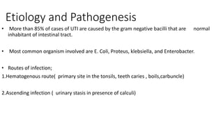 Acute Pyelonephritis.pptx