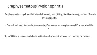 Acute Pyelonephritis.pptx