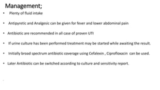 Acute Pyelonephritis.pptx