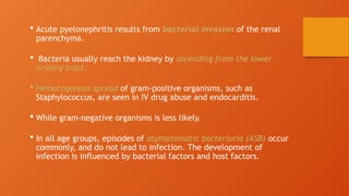 Acute Pyelonephritis an overview approach | PPT