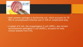 Acute Pyelonephritis an overview approach | PPT