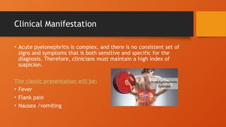 Acute Pyelonephritis an overview approach | PPTX