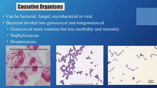 Acute pyogenic arthritis by dr ashutosh | PPTX