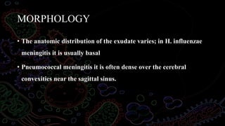 ACUTE PYOGENIC MENINGITIS - Meningitis type.pptx
