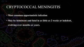 ACUTE PYOGENIC MENINGITIS - Meningitis type.pptx