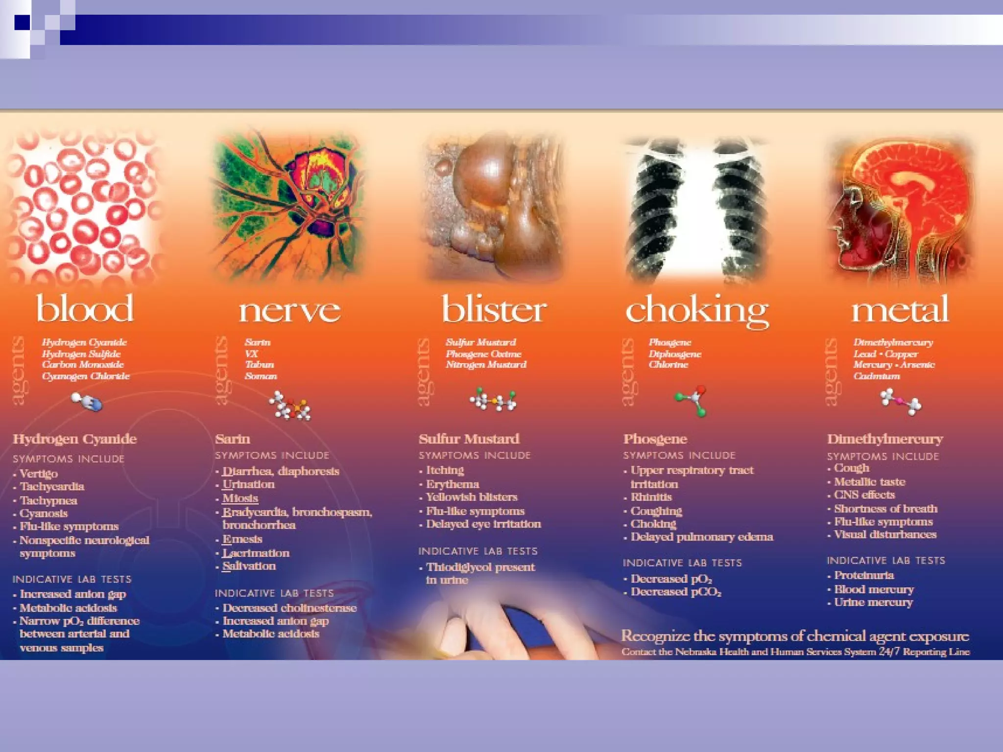 Acute radiation cns syndrome & neurological damage caused by chemical ...