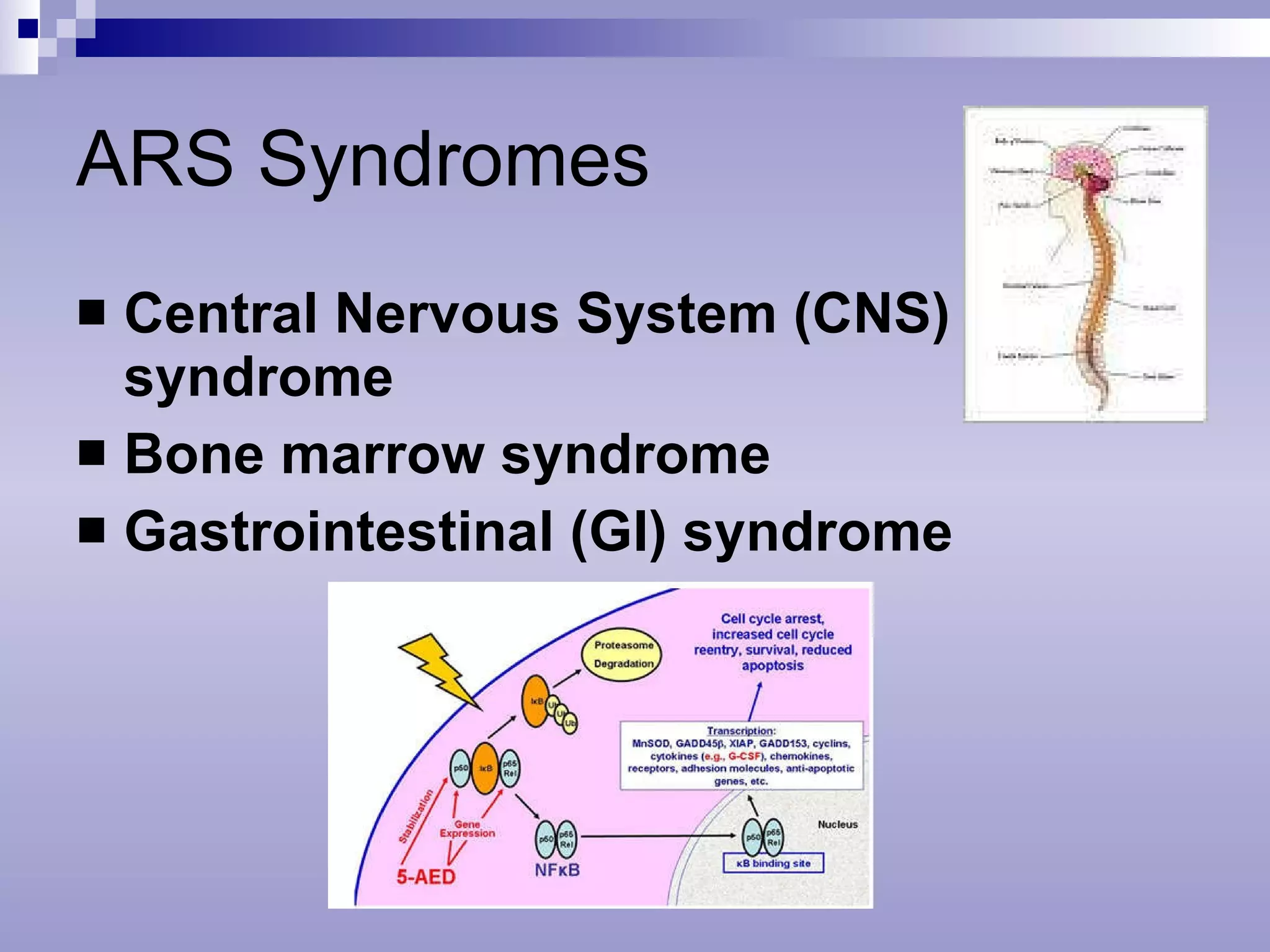 Acute radiation cns syndrome & neurological damage caused by chemical ...