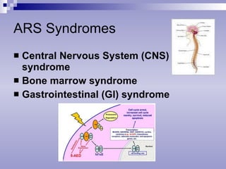 Acute radiation cns syndrome & neurological damage caused by chemical ...