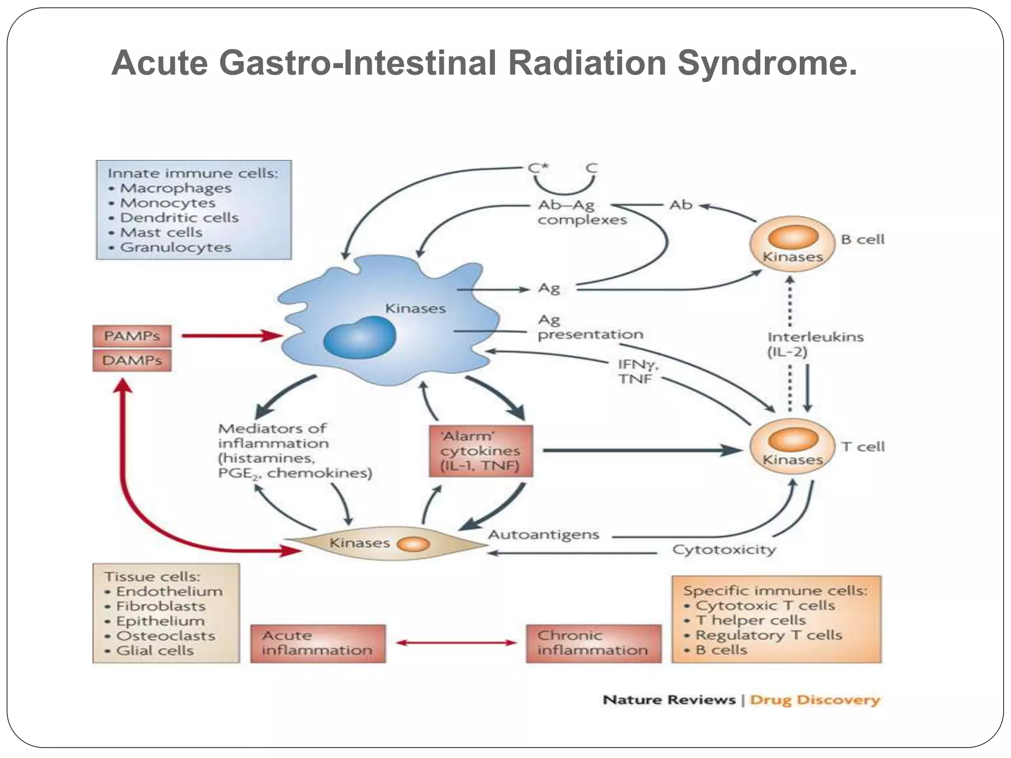 Acute Radiation Gastro-Intestinal syndrome. | PPTX