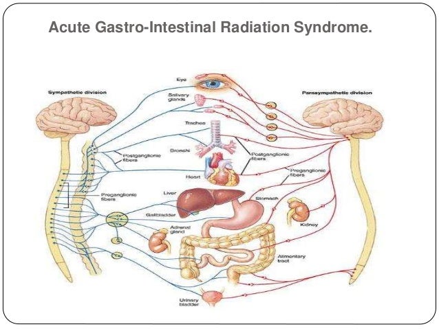 Acute Radiation Gastro-Intestinal syndrome.